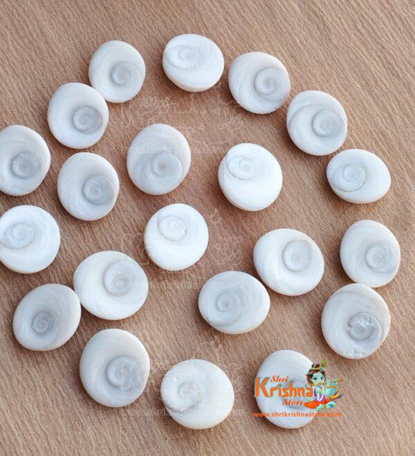 The Magical Powers of Gomti Chakra and Its Benefits