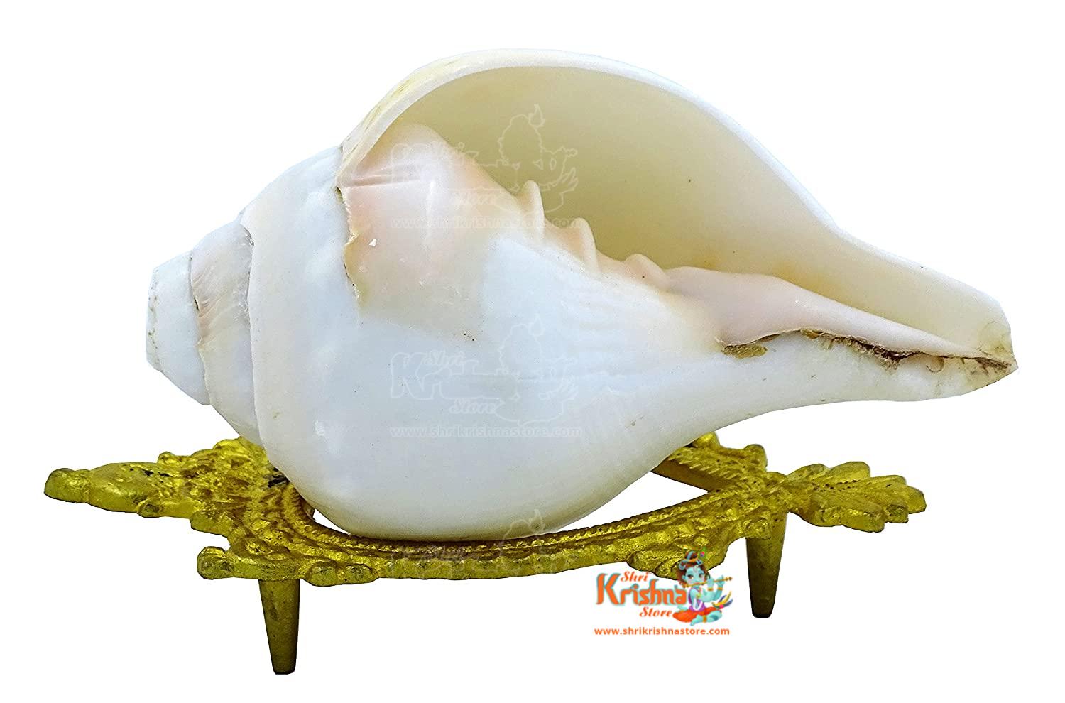 Buy Online Blowing Sankh | shri Krishna Store